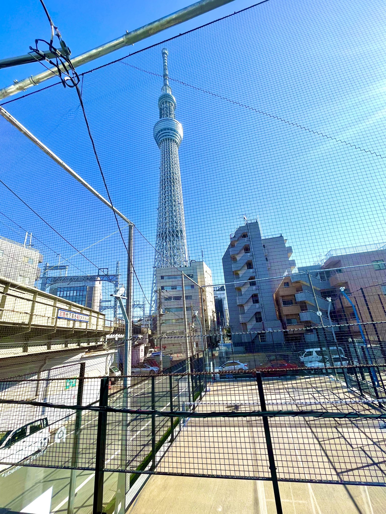 東京で「パデル」ができる場所は？初心者でも始めやすい魅力も徹底解説！ - うりのまにまに